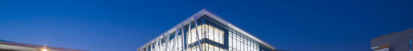 Selected Publications-电子商务与资讯系统管理